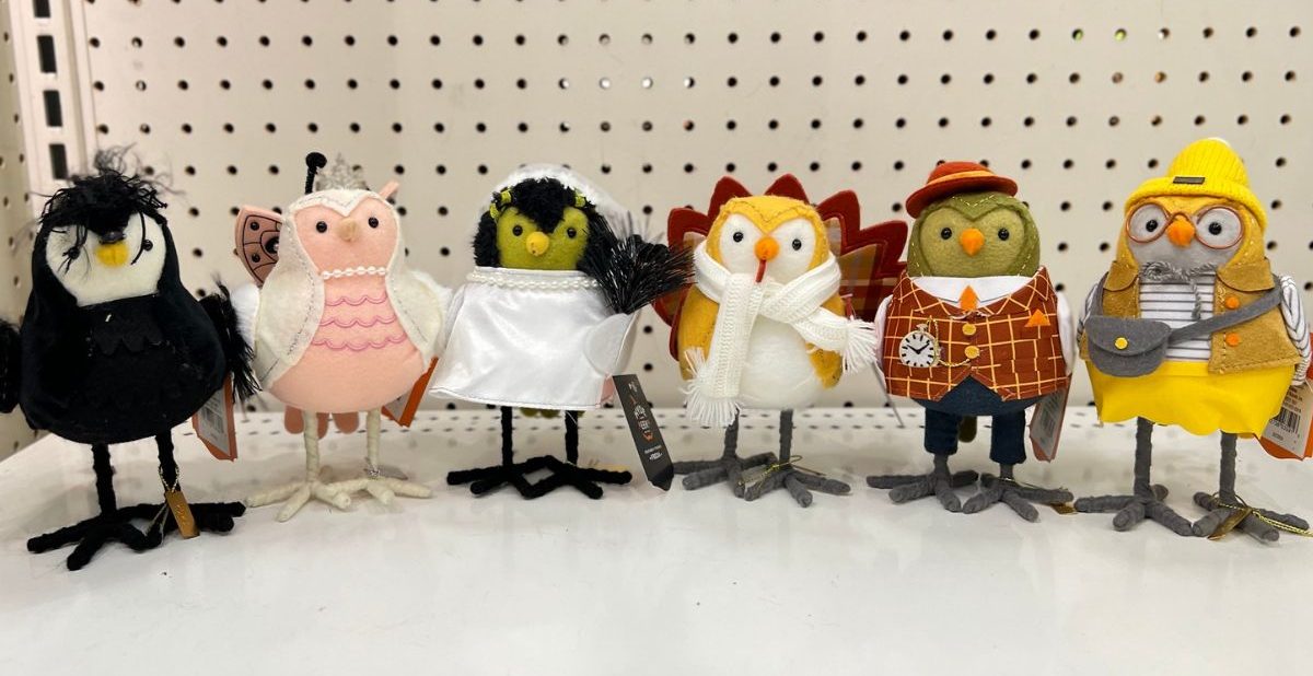GO! Holiday Harvest & Halloween Birds Only $5 on Target.com | Hip2Save