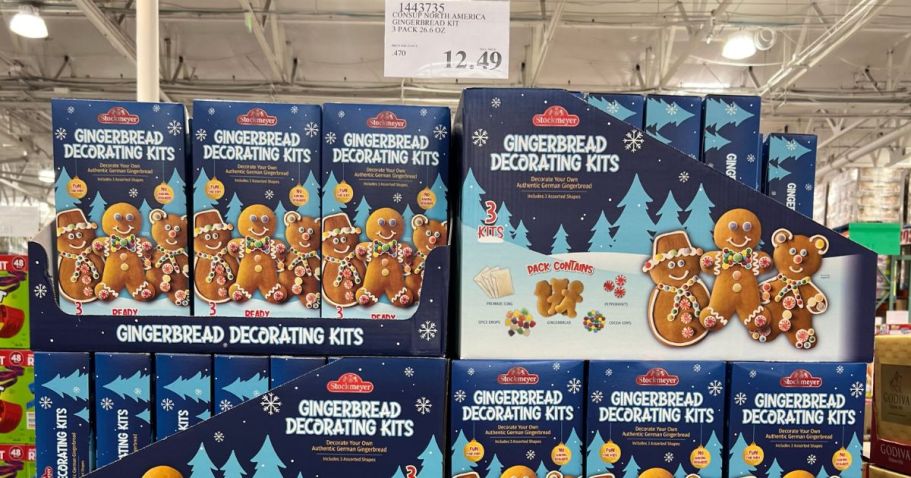 Huge Costco Gingerbread Decorating Kit Just $12.49 | Fun Family ...