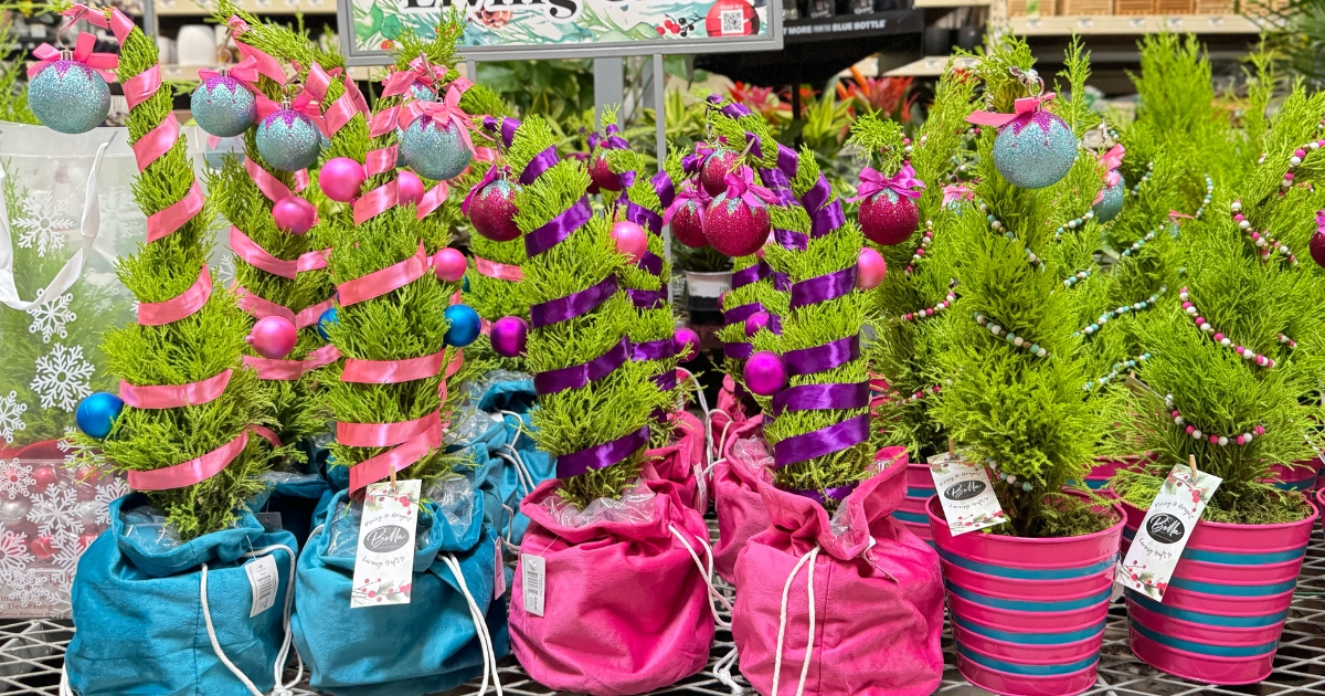 Mini Grinch Christmas Trees Only $19.88 at Home Depot | Hip2Save