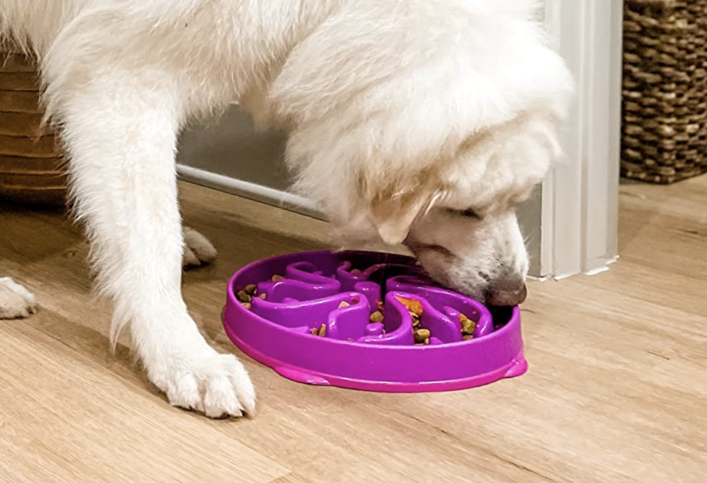 Outward Hound Fun Feeder Dog Bowls from $5 on Amazon (Reg. $16) | Slows ...