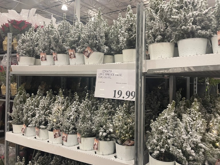 HUGE 28" Costco Wreath ONLY $19.99 + More Holiday Greenery Finds ...