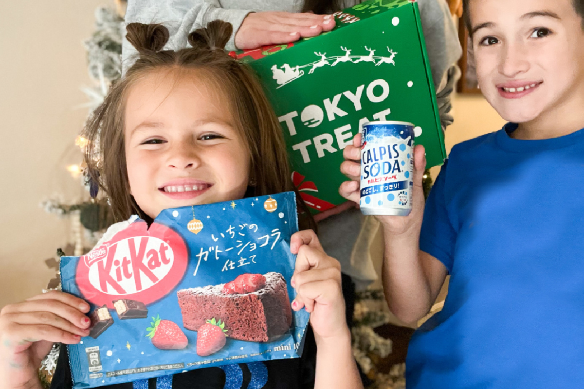 Get $5 Off Tokyo Treat Box, Includes 20 Japanese Full-Size Snacks ...