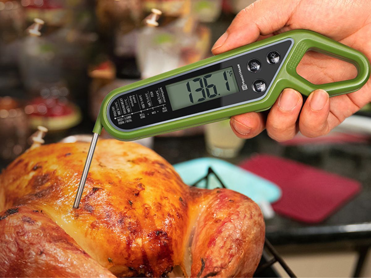 Easy-to-Read Digital Meat Thermometers ONLY $5.49 on Amazon (Regularly ...
