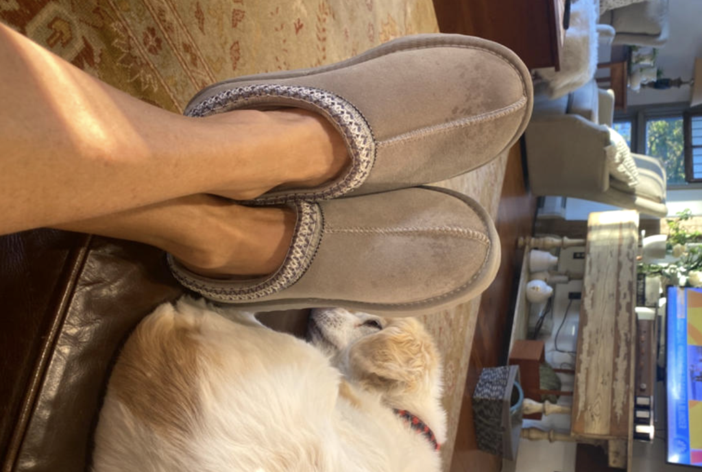 Quince Clog Slippers ONLY $49.90 Shipped - Regularly $99 (Inspired by ...
