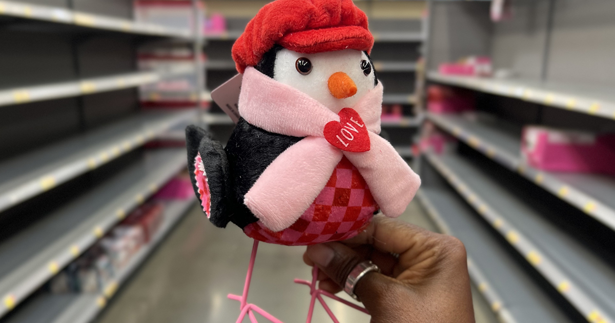 Valentine's Day Fabric Birds Only $5.48 at Walmart | Hip2Save