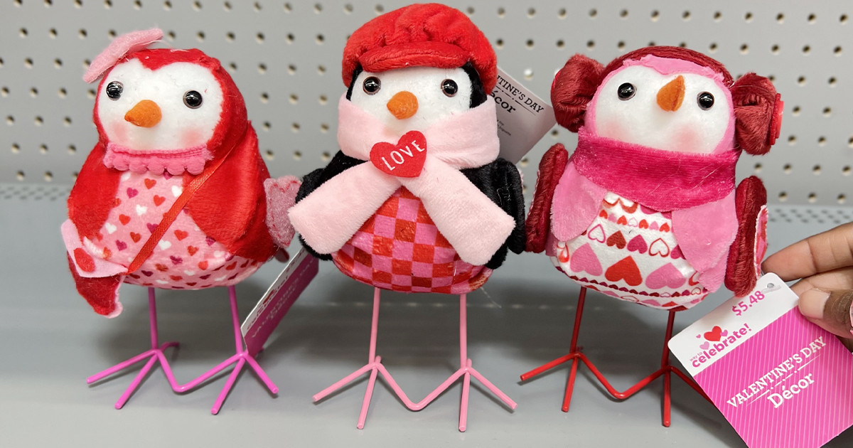 Valentine's Day Fabric Birds Only $5.48 at Walmart | Hip2Save