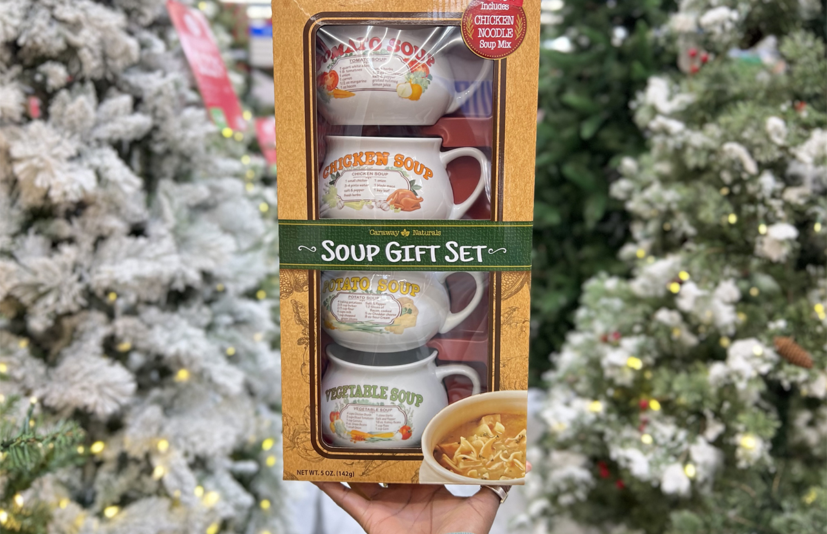 Soup Gift Set Just $19.54 on Walmart.com | Includes 4 Bowls & Chicken ...