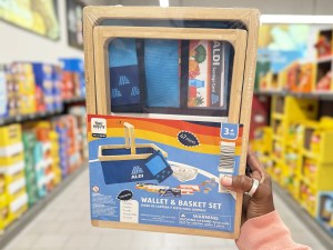 New ALDI Grocery Shopping Playsets Available Now | Hip2Save