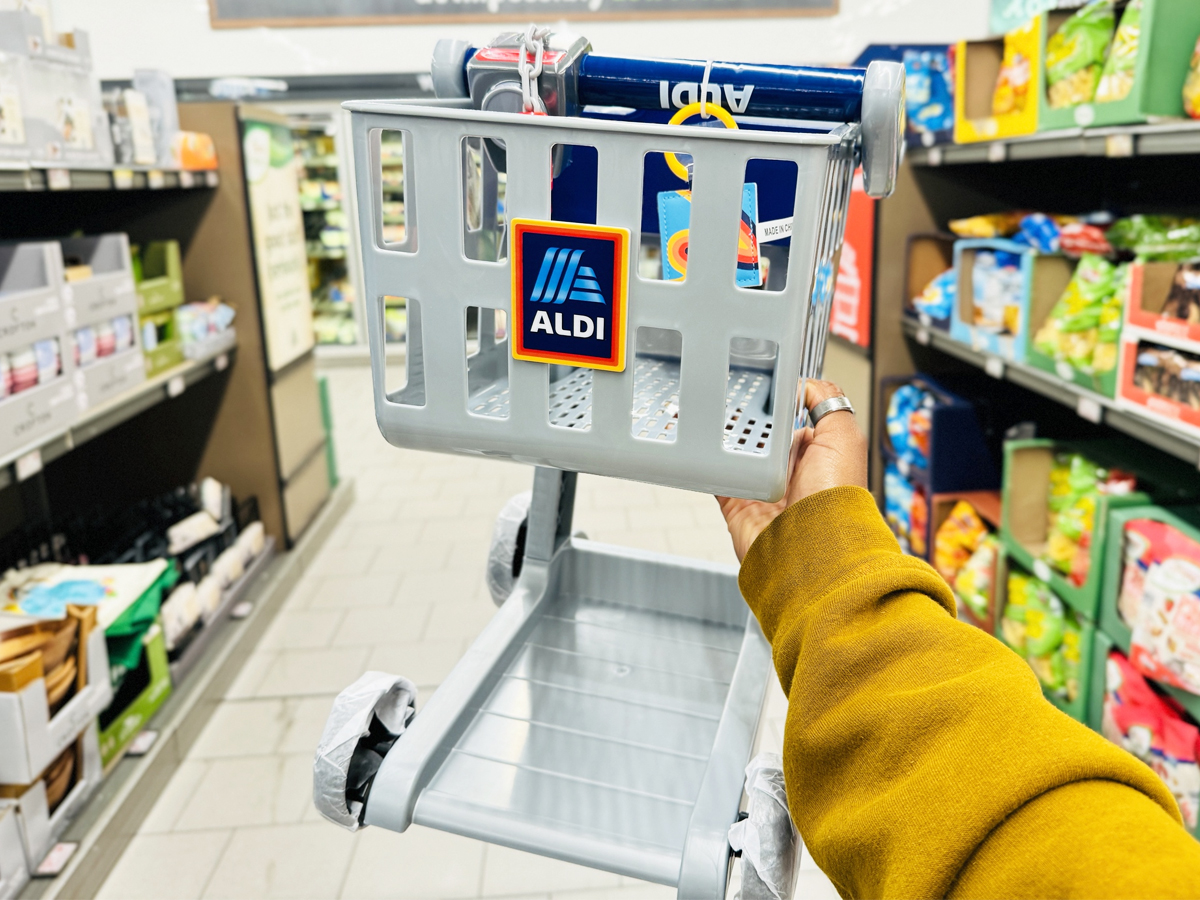 ALDI Toy Shopping Carts & Playsets Are Back | Hip2Save