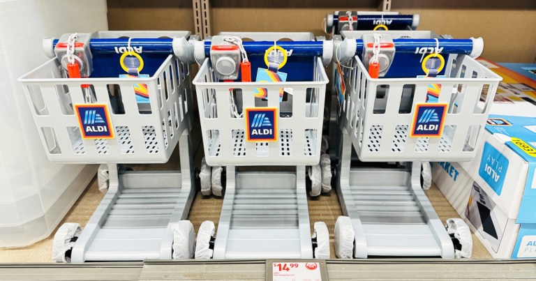 ALDI Toy Shopping Carts & Playsets Are Back | Hip2Save