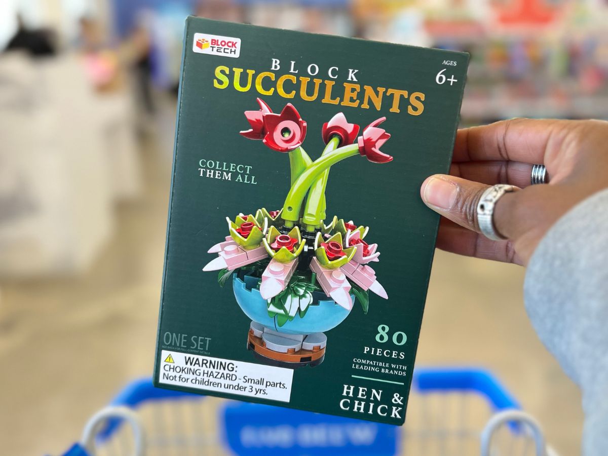 Block Bouquet Succulent Sets Just $3 at Five Below | No Watering Needed ...