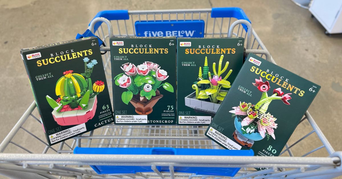 Christmas Flower Building Block Sets Just $5 at Five Below | Great Stocking Stuffer | Hip2Save
