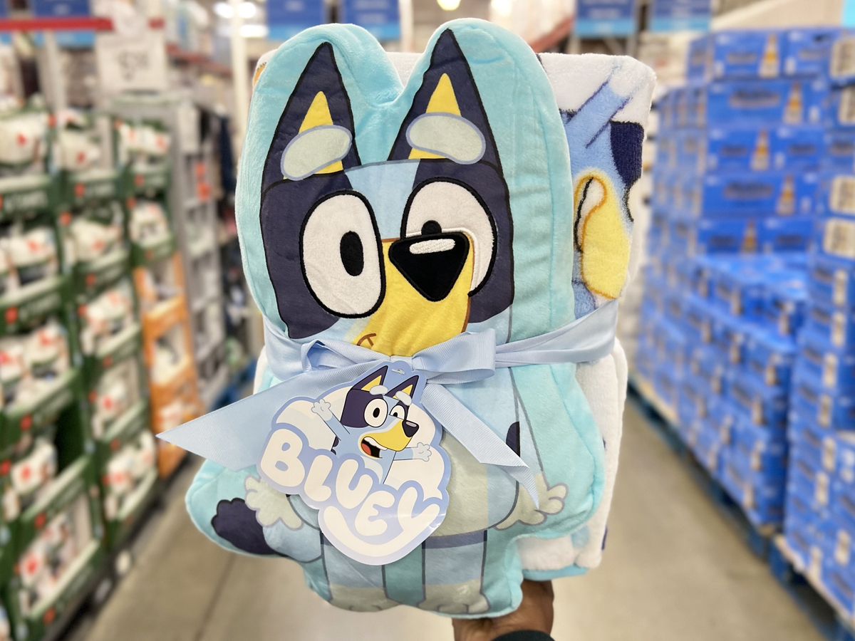 Character Pillow & Blanket Sets Just $14.95 on SamsClub.com (Bluey ...