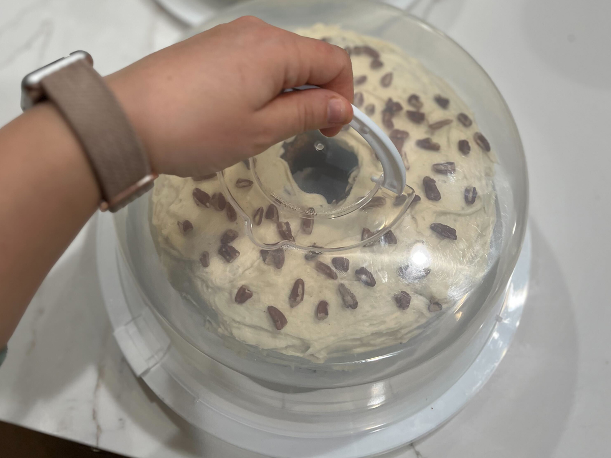 Reusable Plastic Cake Container Only $1.25 at Dollar Tree | Great for ...