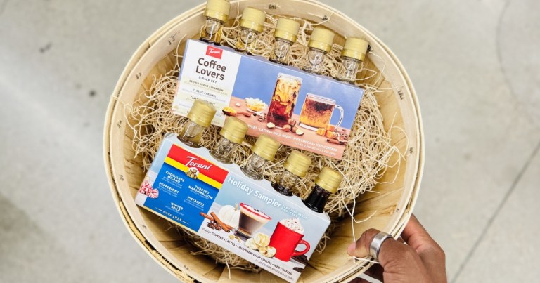 Torani Syrup Sampler 5-Pack Only $10.99 at World Market – Perfect ...