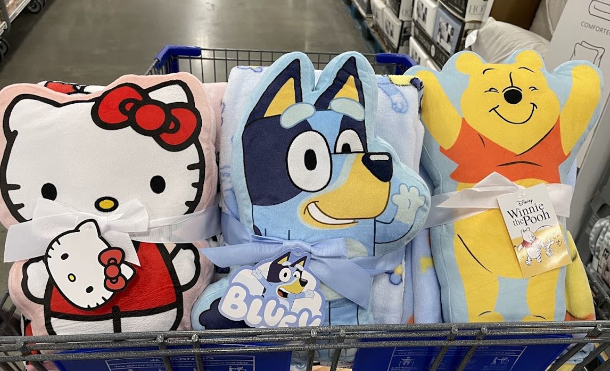 Character Pillow & Blanket Sets Just $9.88 on SamsClub.com | Bluey ...