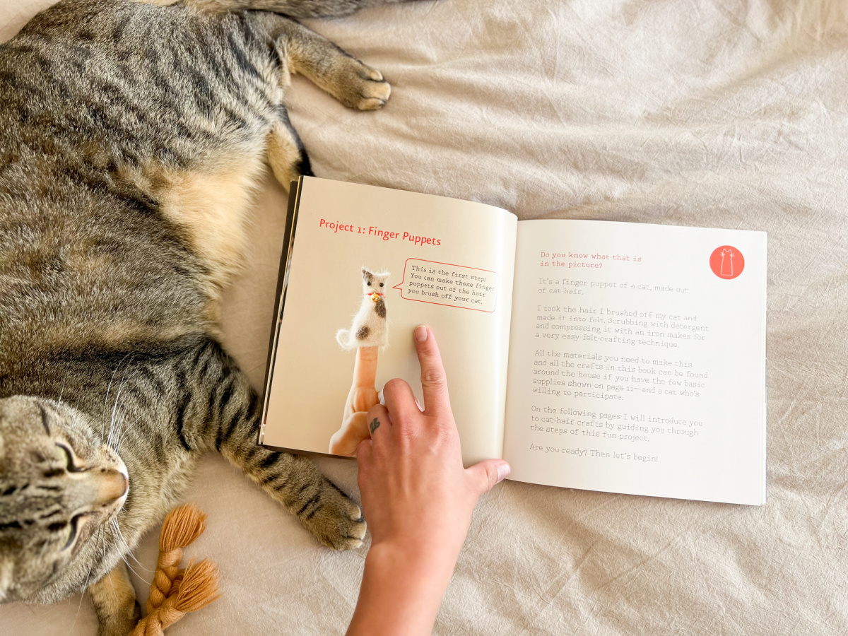 Get the Book 'Crafting With Cat Hair' Before it Sells Out (Under $10 ...