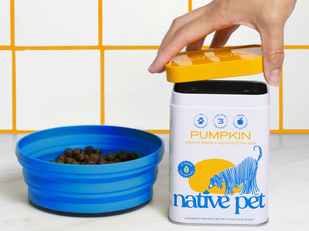 Up to 60% Off Native Pet Favorites on Amazon | The Daily Vitamin Meal ...