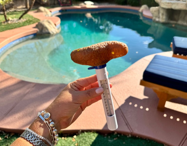 Floating Poop Thermometer For Pool Just $11.99 on Amazon (Unique Gift ...