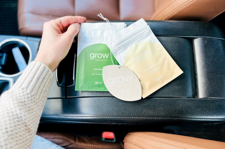 Safe & Non Toxic Air Freshener & Perfume Products | Hip2Save