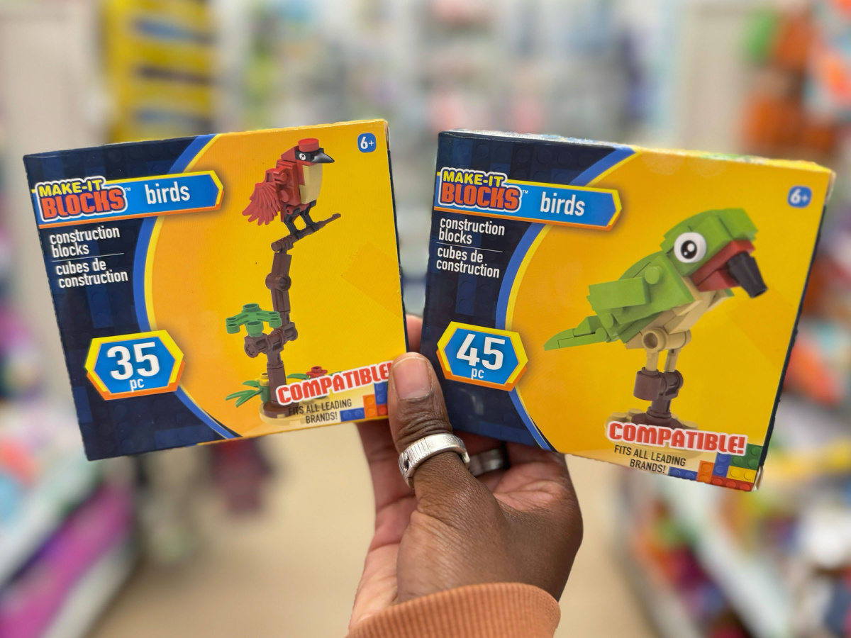 Blocks Building Sets Just $1.25 at Dollar Tree | Cute Birds & Flower ...