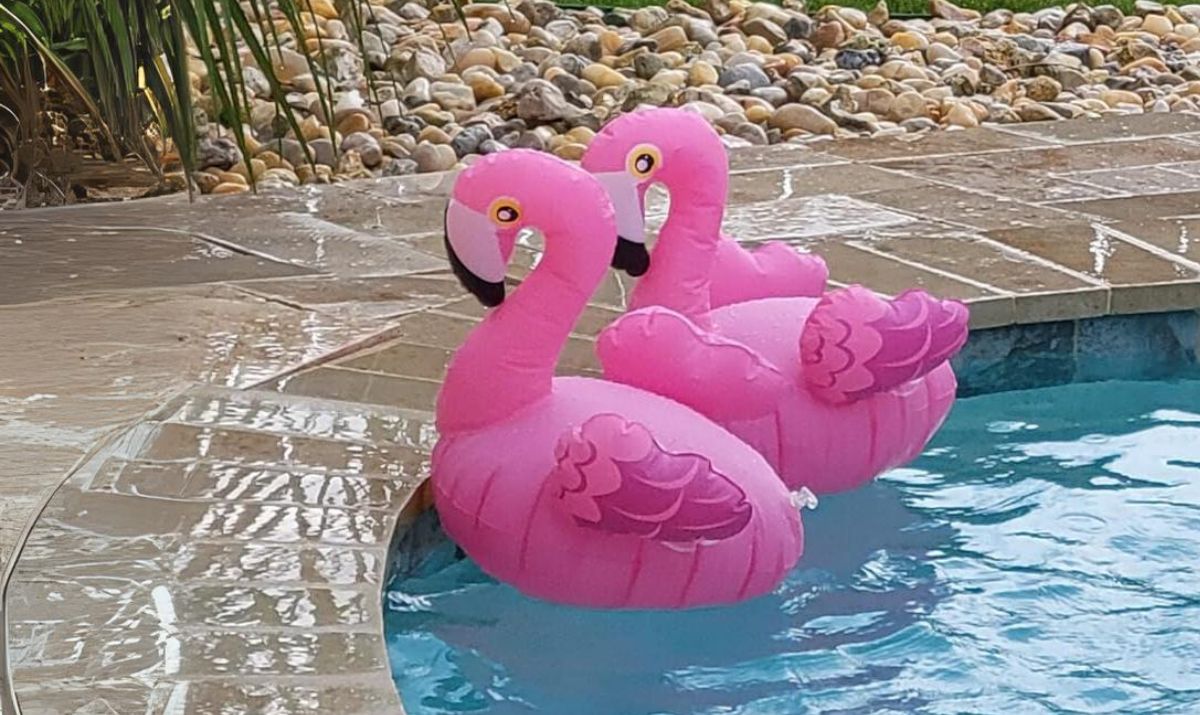 Brighten Up Your Yard with These Flamingo Pool Lights | 2-Pack Only $11 ...