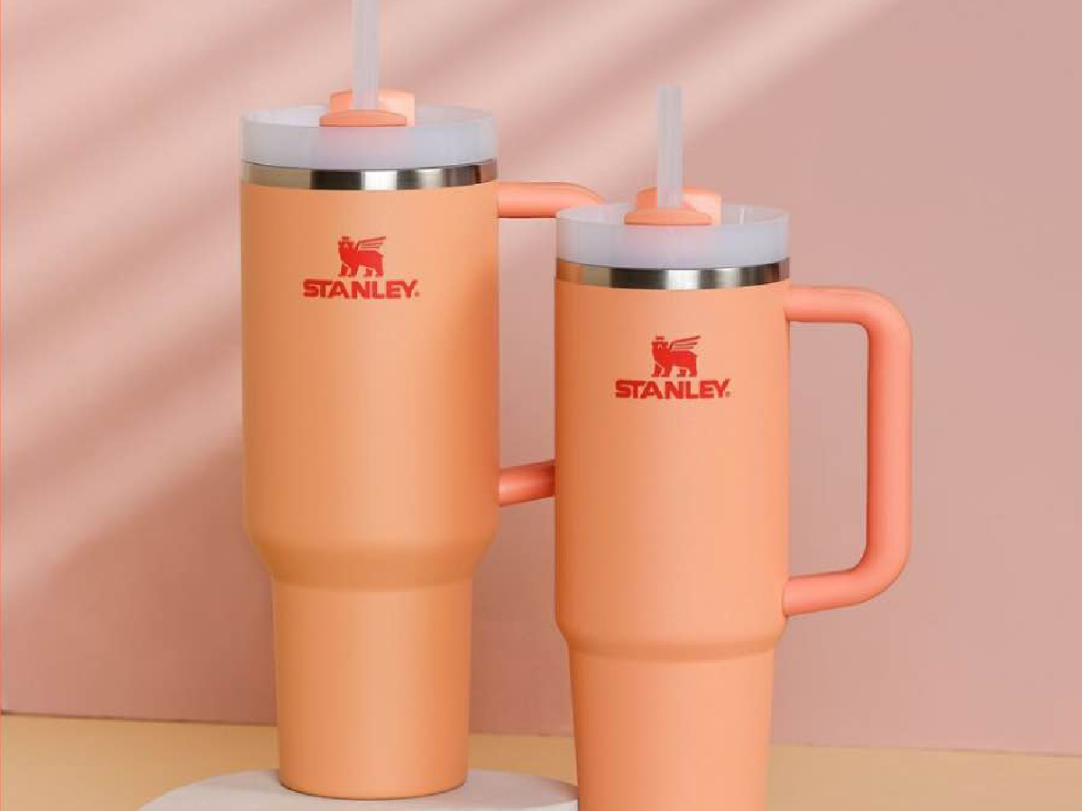 These New Stanley Tumblers Are Available Now But May Sell Out | Hip2Save
