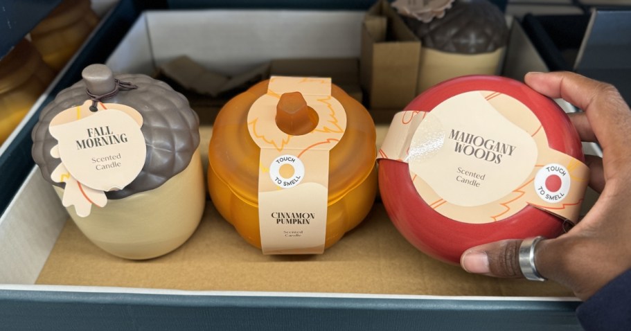 ALDI Glass Fall Candles Only $6.99 | Hip2Save