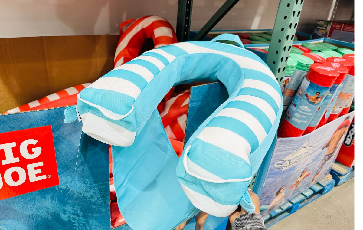 The Epic Sea Serpent Sprinkler is Back at Costco—Plus More Must-Have ...