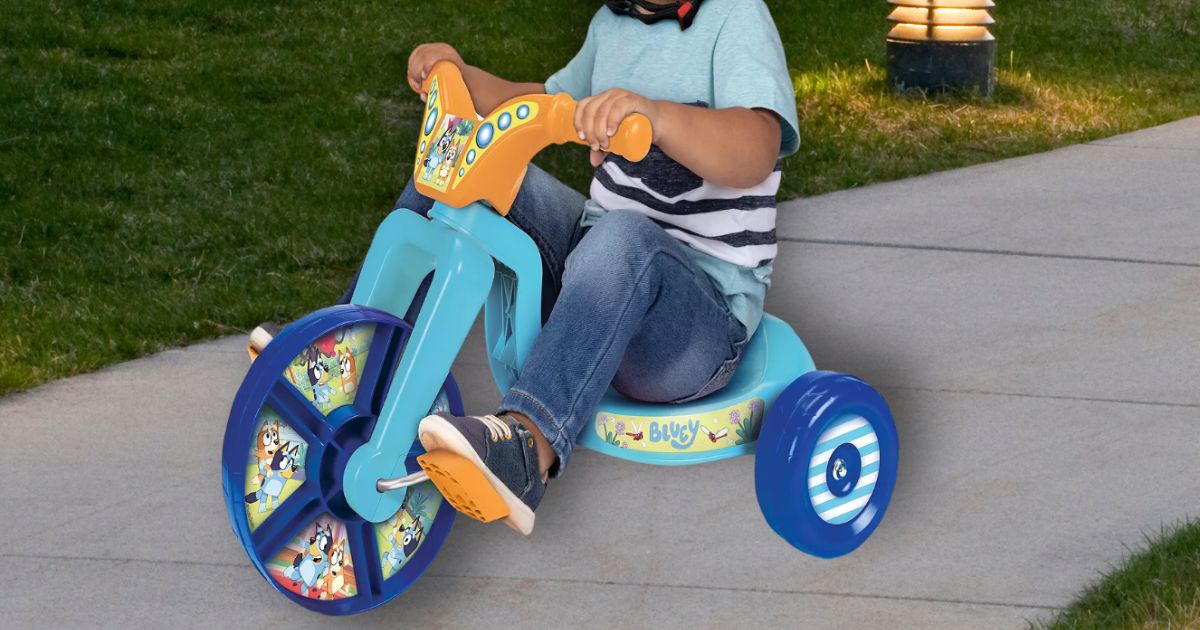 Fly Wheel Ride-On Toy Only $16 on Macy's.com | Choose From Bluey ...