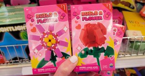 Build a Flower Kits Only $1 at Target (Cheap Screen-Free Activity ...