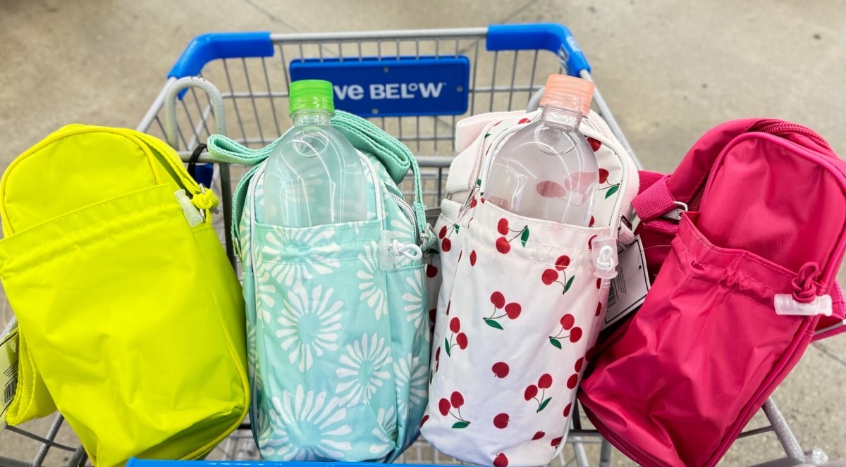 New Five Below Summer Finds | Water Bottle Bags ONLY $5 & Much More ...