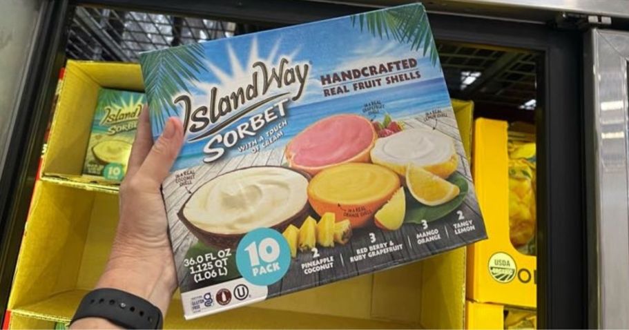 Island Way Fruit Sorbet Only $12.92 at Sam's Club | Four Flavors In A ...