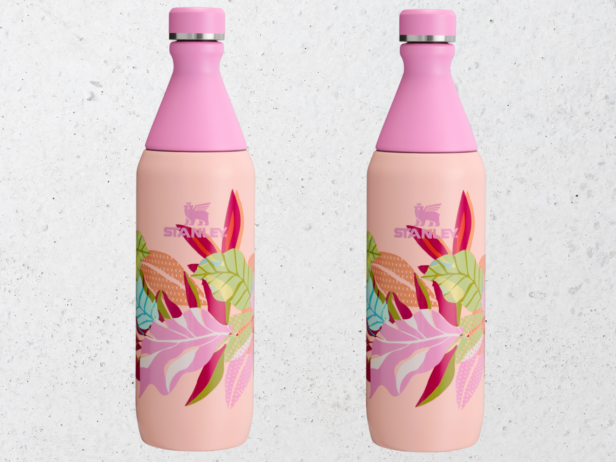 NEW Stanley Slim Water Bottles Available NOW | Seven Color Options ...
