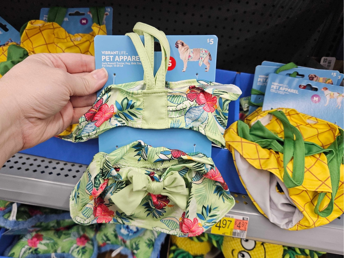 Walmart Has the Cutest Accessories for Pets (Swimsuits, Hats, Ice Cream ...