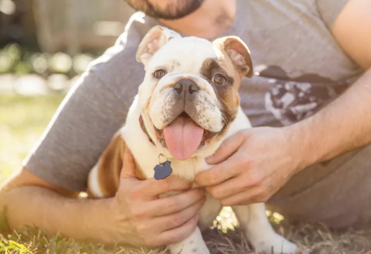 FREE Puppy Pack Filled with Samples + Free Shipping ($15 Value!) | Hip2Save