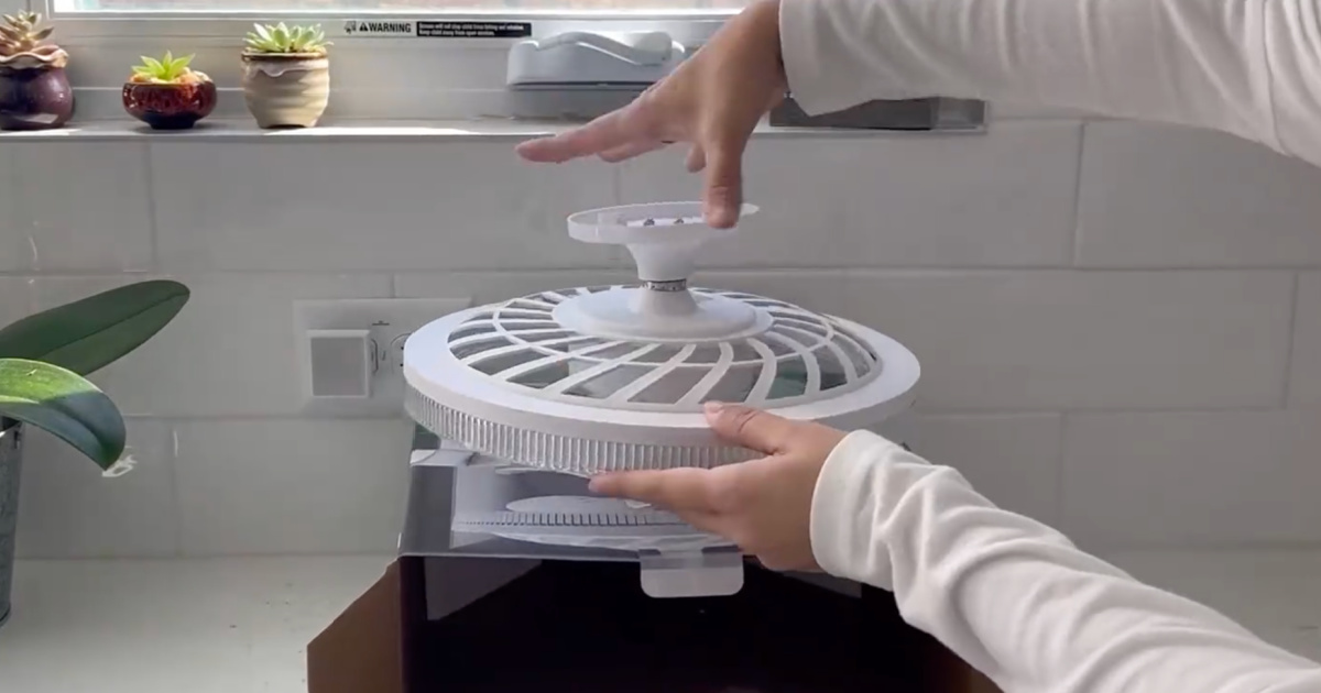 Socket Ceiling Fan Just $24.99 Shipped on Amazon | Plugs Into Your ...