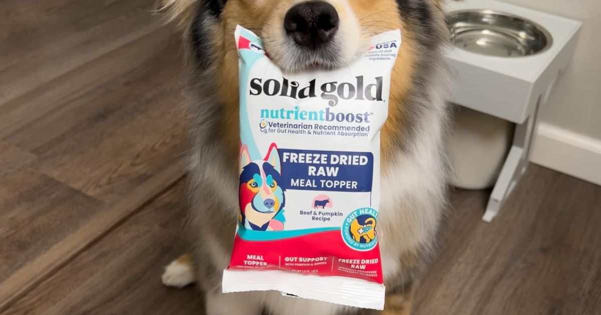 Highly-Rated Solid Gold Dog Food Meal Topper Just $2.52 Shipped w ...