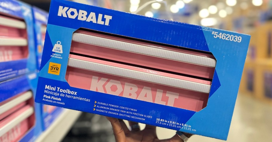 NEW Kobalt Mini Tool Box on Lowes.com (4 Fun Colors & Endless Uses ...