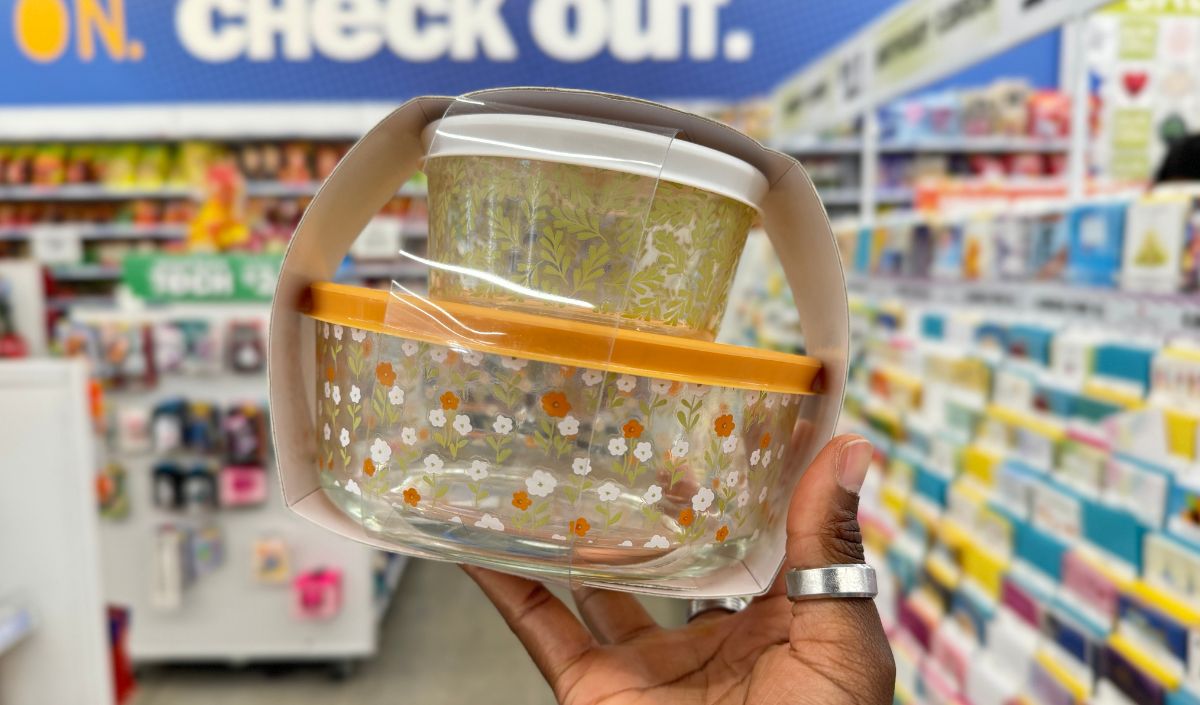 Five Below Glass Food Storage Sets Only $5.55 | Includes 2 Bowls with ...