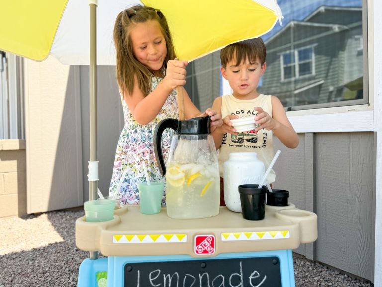 Alex's Lemonade Stand Items Available at ALDI (May Sell Out!) | Hip2Save