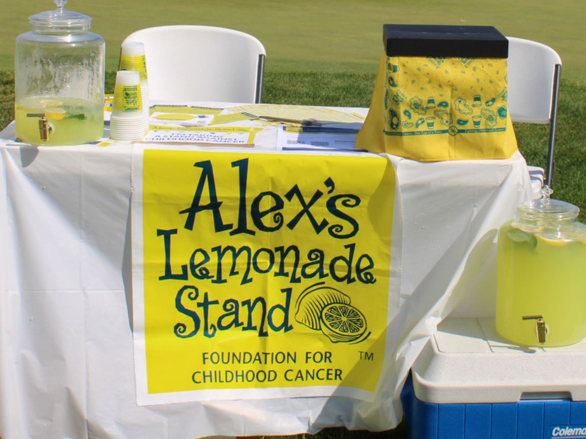 Alex's Lemonade Stand Items Available at ALDI (May Sell Out!) | Hip2Save