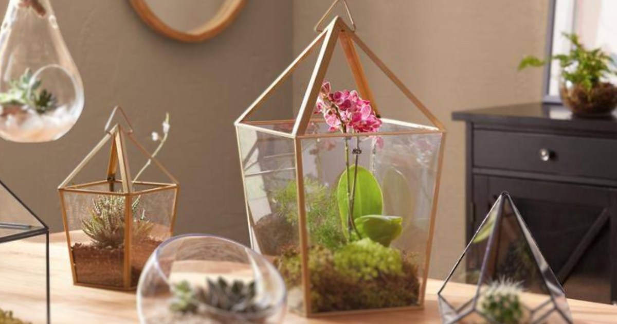 Glass Terrarium ONLY $9 Shipped on HomeDepot.com (Great Home or Wedding ...