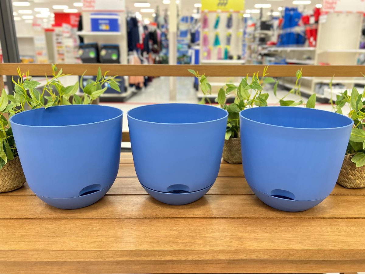 I Tried and LOVED Target's Popular Self-Watering Planters
