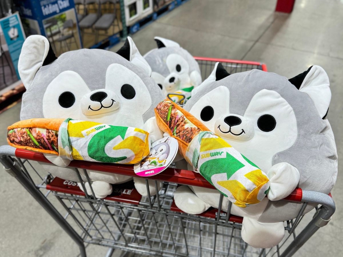 Snackles Plush Only $9.97 on Amazon (Regularly $20) - Lowest Price ...