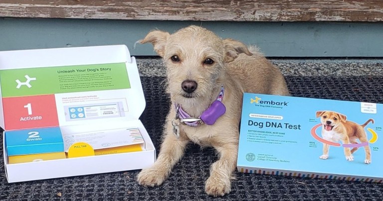 $60 Off Embark Dog DNA + Health Test | Find Your Dog's Breed, Relatives ...