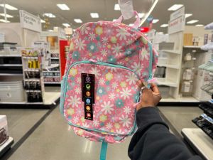 Summit Ridge Backpacks JUST $5 at Target (Pockets, Laptop Sleeve ...