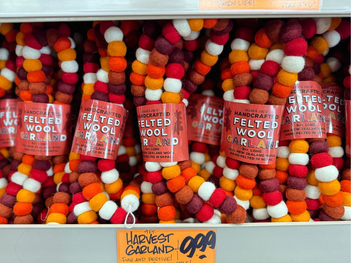 NEW Trader Joe's Fall Items - Pumpkin Candles, Body Scrub, Hand Soap ...