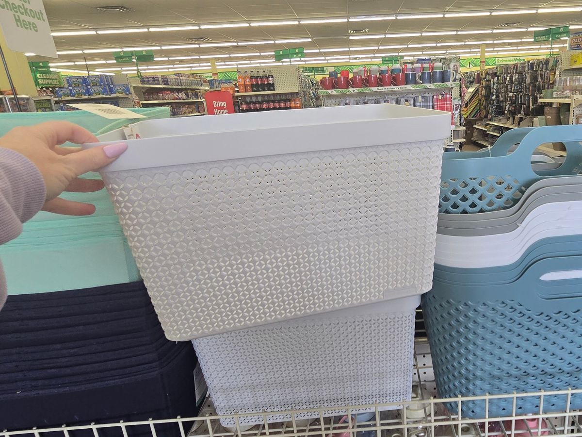 Get Organized with Dollar Tree Storage Baskets from $1.25! | Hip2Save