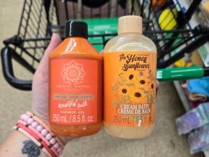 21 New Dollar Tree Items for August - All Just $1.25 Each! | Hip2Save